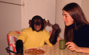 THE AMAZING STORY OF AN UPPER WEST SIDE FAMILY THAT RAISED A CHIMP IN ...