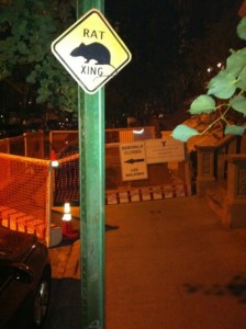 West Side Rag » rats