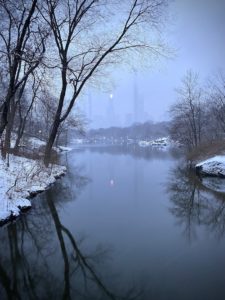 Photos: A Peaceful Snow Day