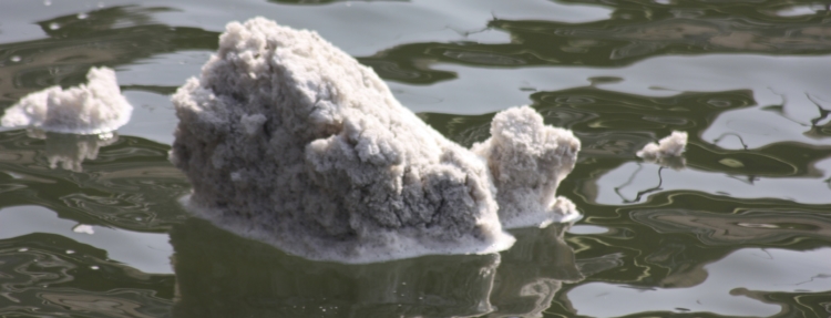What's That in the River? Strange Blocks of Foam Float North