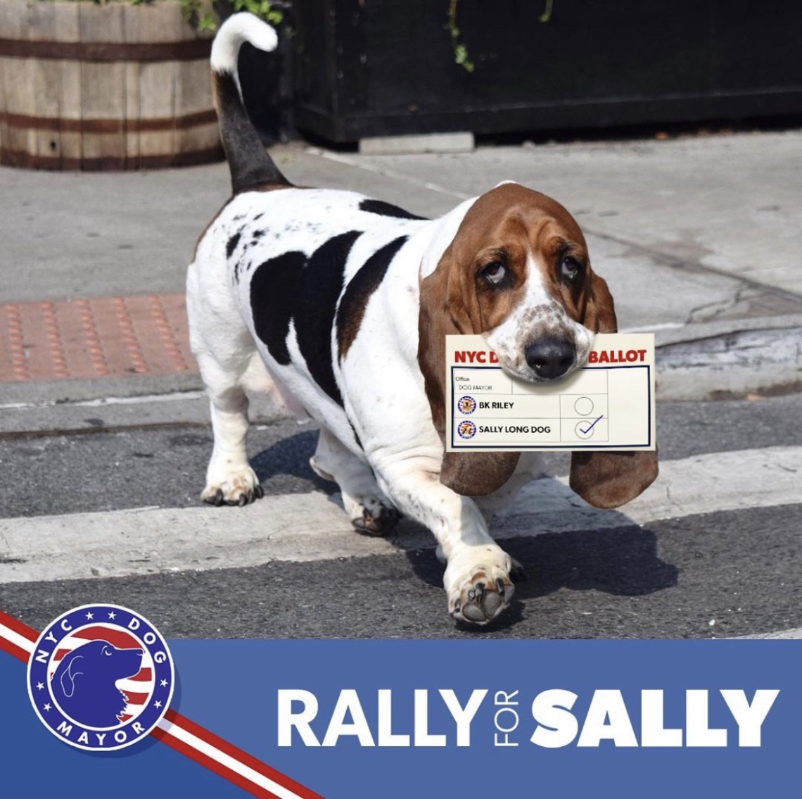 Pupper West Side Special Edition: Meet NYC’s Honorary Dog Mayor, Sally ...