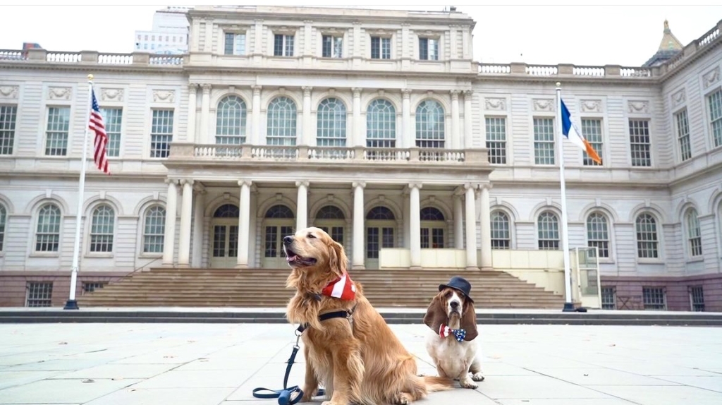Pupper West Side Special Edition: Meet NYC’s Honorary Dog Mayor, Sally ...