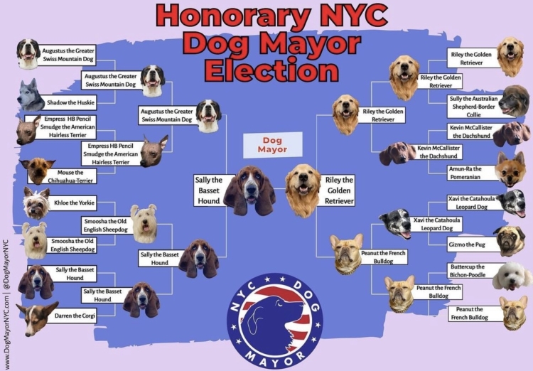Pupper West Side Special Edition: Meet NYC’s Honorary Dog Mayor, Sally ...