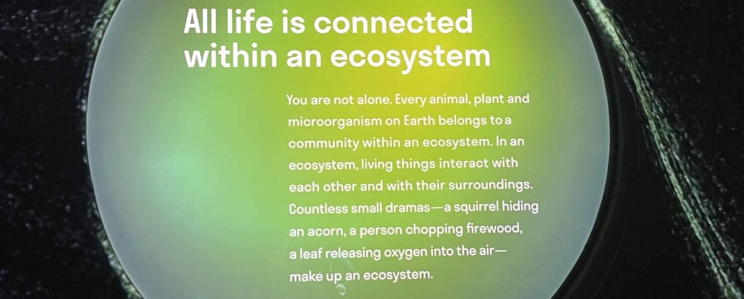 A Sneak Preview of the Richard Gilder Center for Science, Education ...