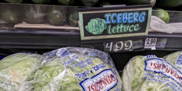 Frugal Frannie Finds Surprising UWS Grocery Inflation Data