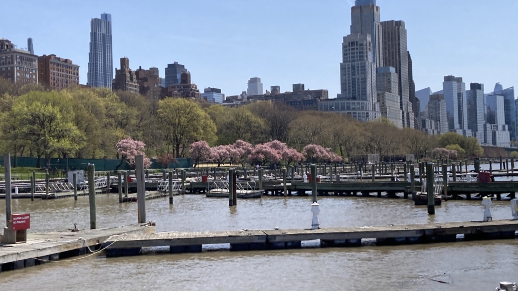 What’s in a View: The Battle of the Boat Basin