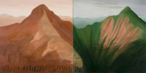 Redefining America and Its Art: Kay Walkingstick’s Landscape Paintings ...