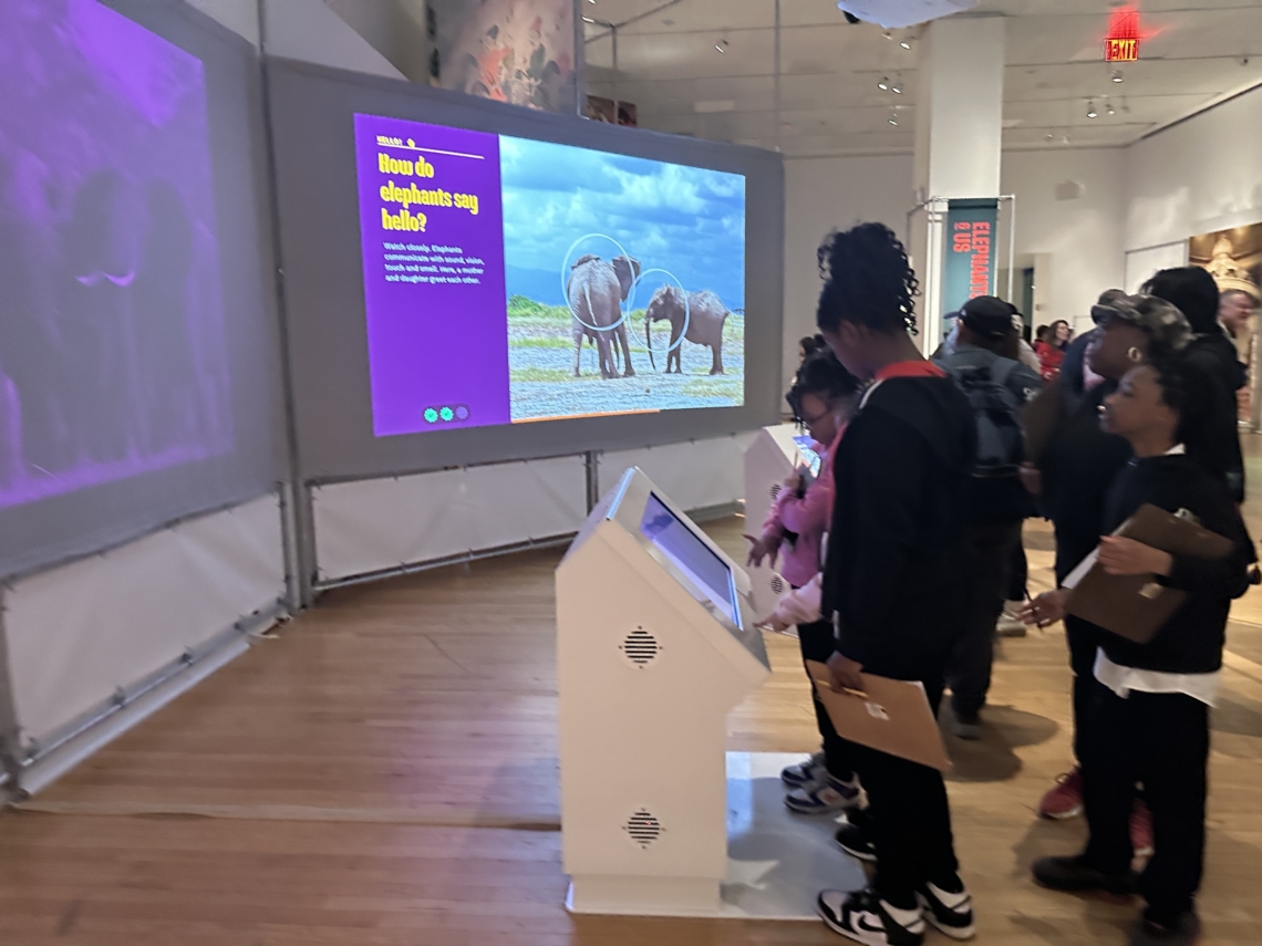 Sneak Peek: The Museum of Natural History Opens Up The Secret World of ...