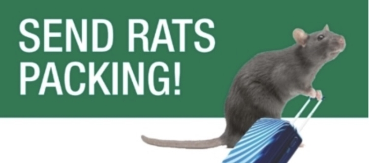 By the Numbers: Is the Rat Problem Getting Better on the UWS?