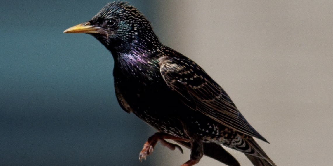 HISTORY Articles - Page 2 of 55