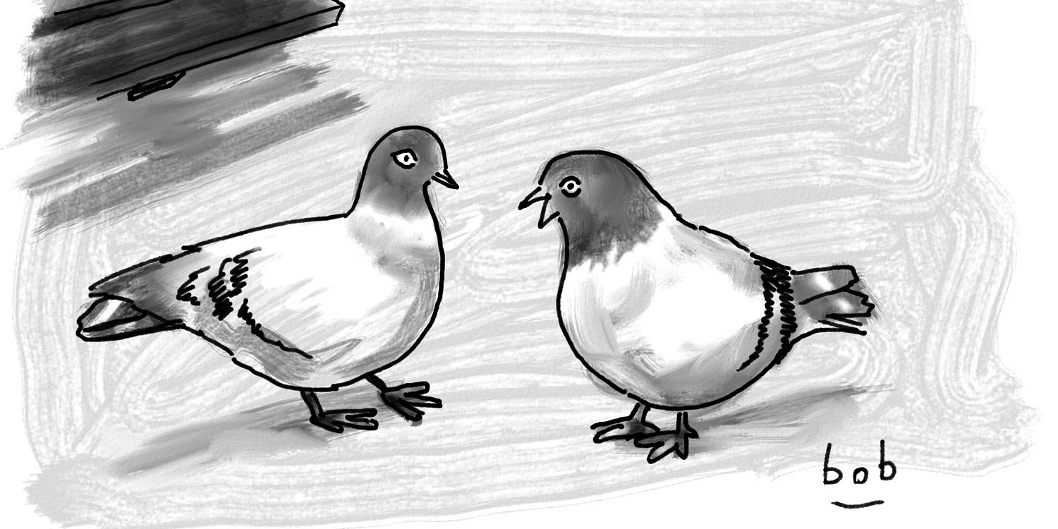 Setting the Record Straight on 'Rats With Wings'