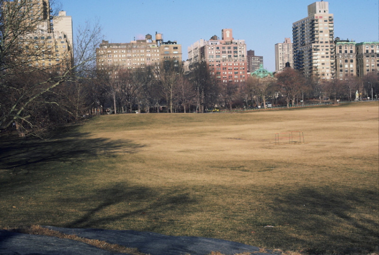 After 40 Years, Central Park Historian and Photographer Retires