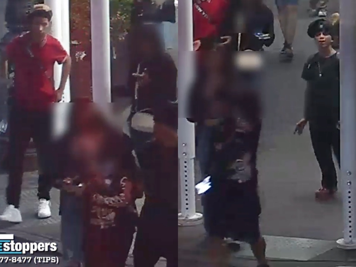 Man Robbed Sitting on Bench in Central Park: NYPD