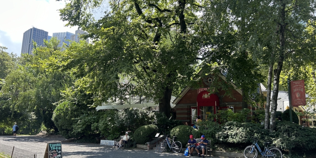 Iconic Central Park 160-Year-Old Elm Tree at Tavern on the Green To Be ...