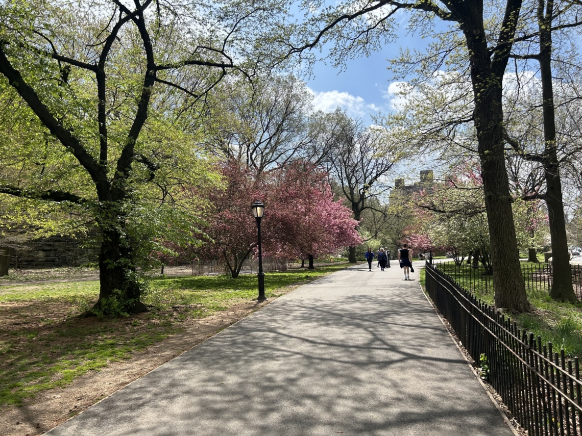 The Beauty of the UWS as Seen in the Photographs of Monday Bulletin