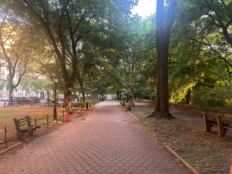 The Beauty of the UWS as Seen in the Photographs of Monday Bulletin