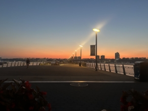 The Beauty of the UWS as Seen in the Photographs of Monday Bulletin
