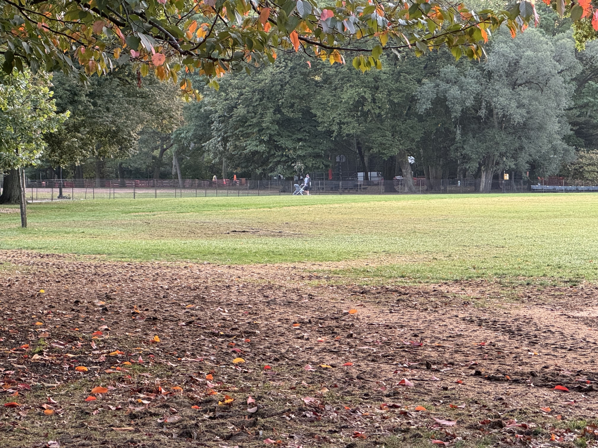 Following Global Citizen Festival, Great Lawn to Remain Closed Through ...