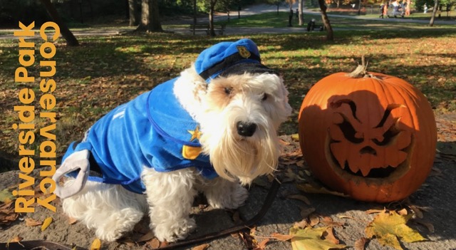 UWS Weekend: Great Things To Do In the Neighborhood (and Around the City)