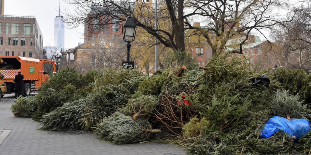 How To Responsibly Dispose of Your Christmas Tree on the Upper West Side