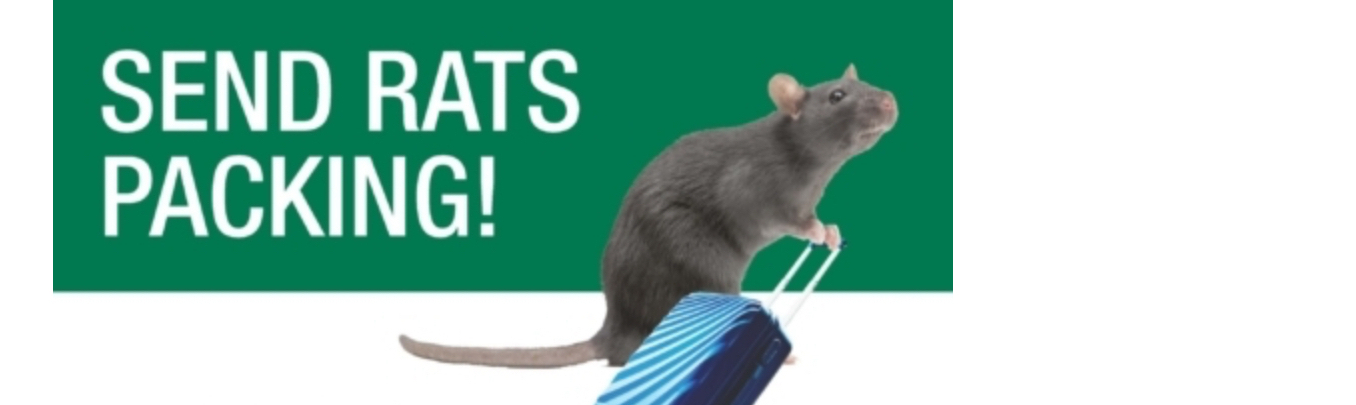 By the Numbers: Reports of Rats on the UWS Declined for the Second Year ...