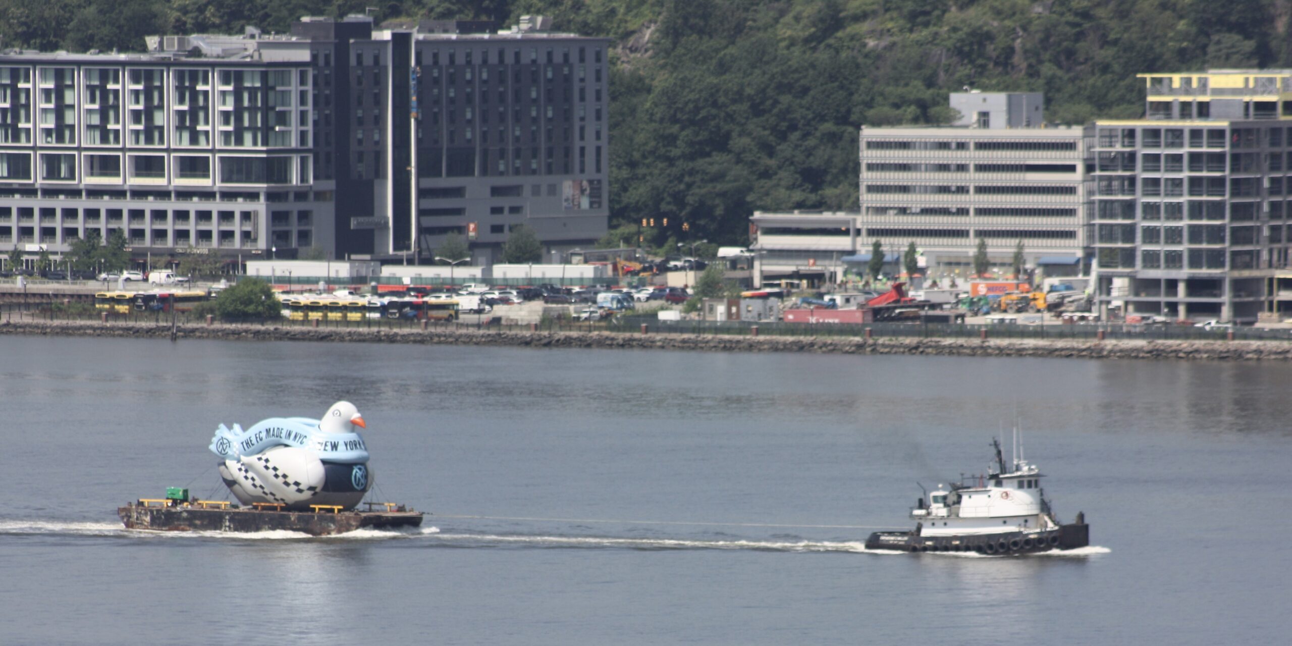 700-Pound Pigeon Floats Along the Hudson River