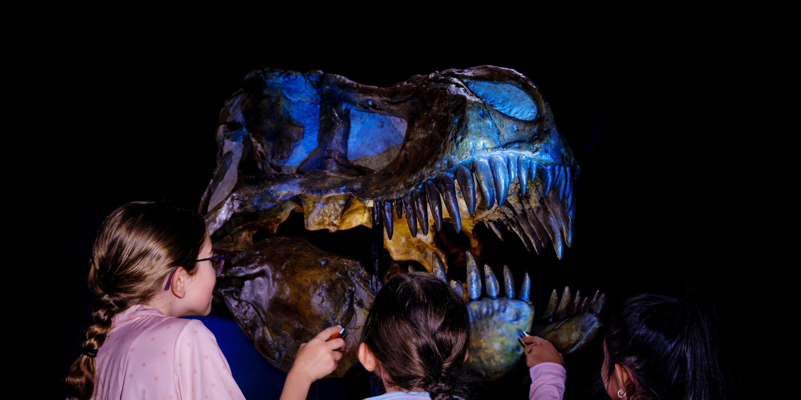 After 5-Year Hiatus, Sleepovers to Return to the American Museum of Natural History on the UWS