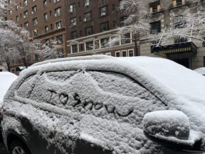Central Park Covered in Snow: See Photos