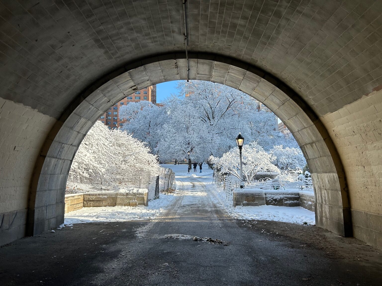 Central Park Covered in Snow: See Photos