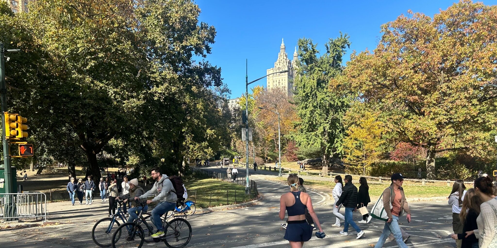 Speed Limit in Central Park to Drop From 20 to 15 MPH