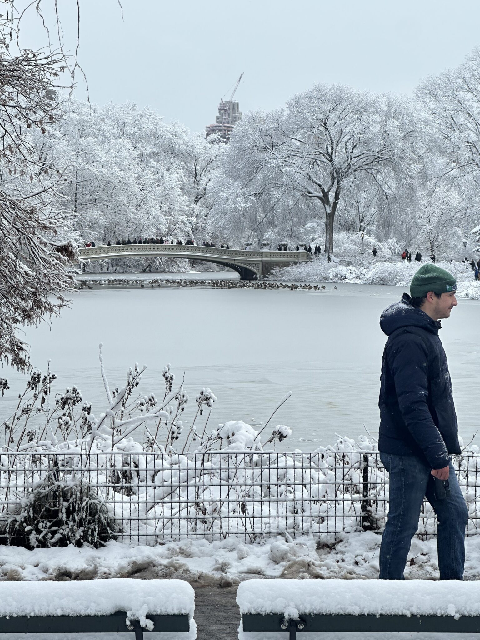 Central Park Covered in Snow: See Photos