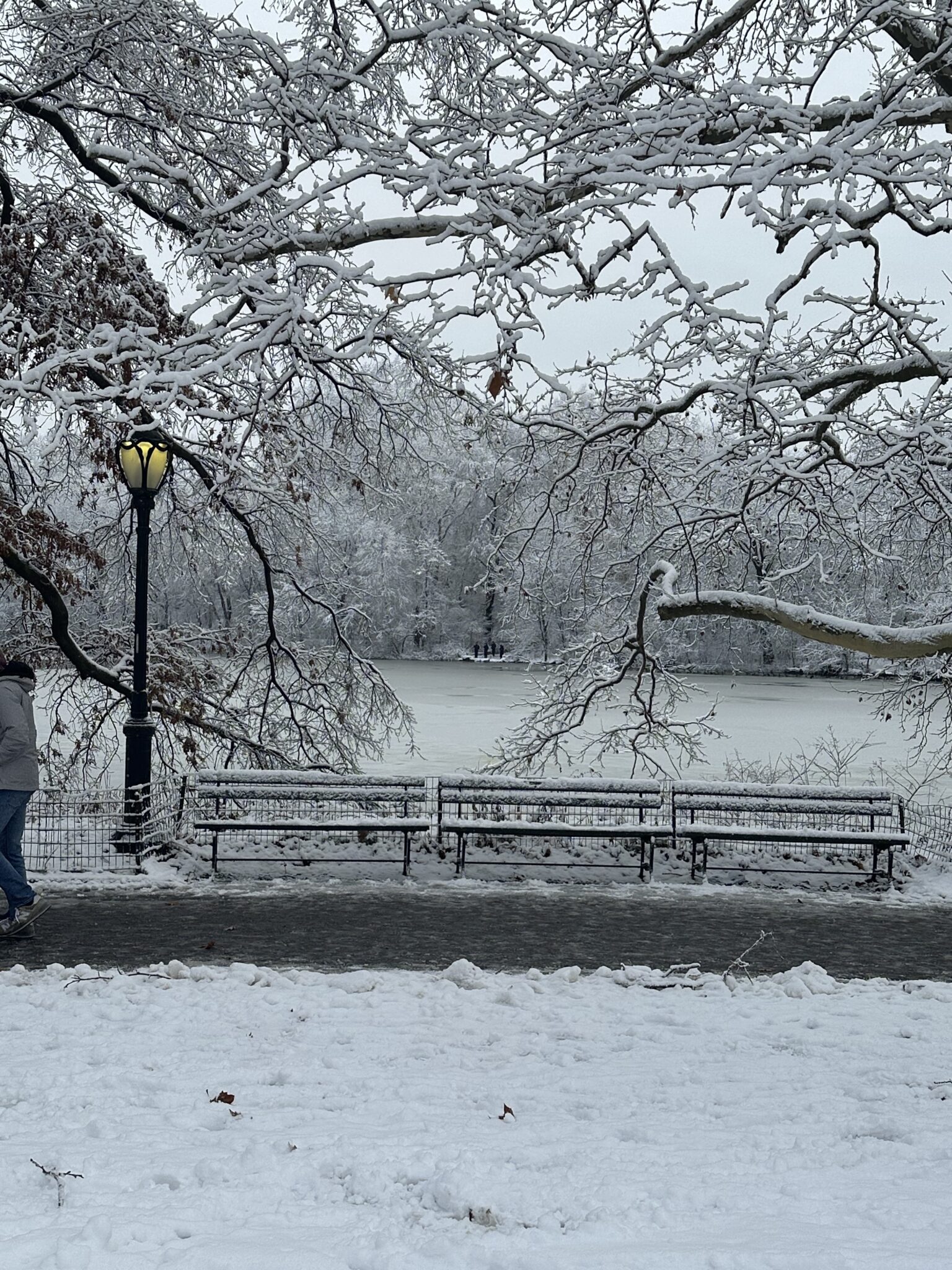 Central Park Covered in Snow: See Photos