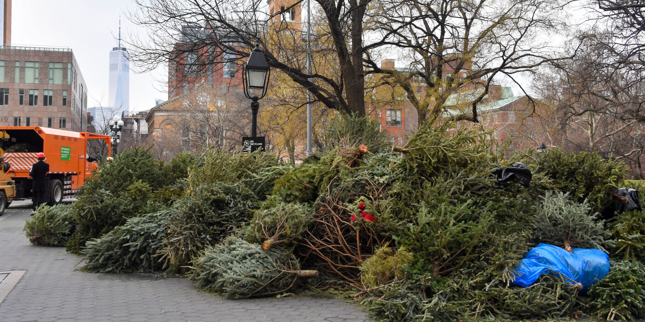 Where to Responsibly Dispose of Your Christmas Tree on the Upper West Side