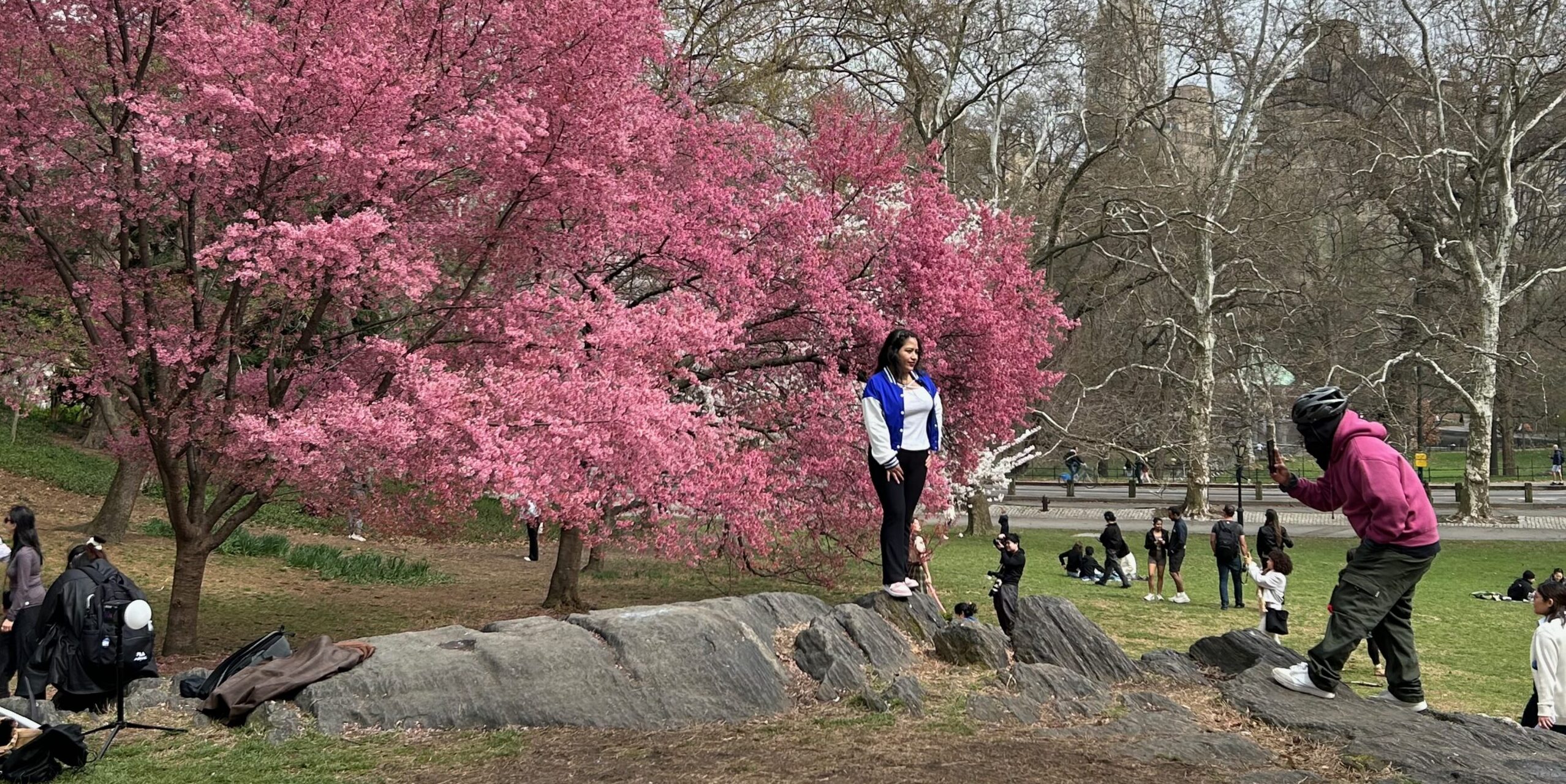 Monday Bulletin: Prices for 'Family Apartments' on UWS Up Nearly 40 ...