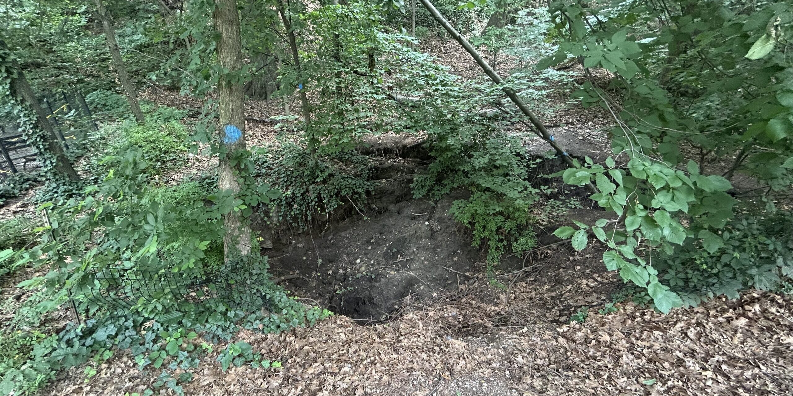 Sinkhole Continues to Expand Near Upper West Side Dog Park: 'Soon It ...